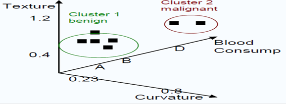 Virtual Labs